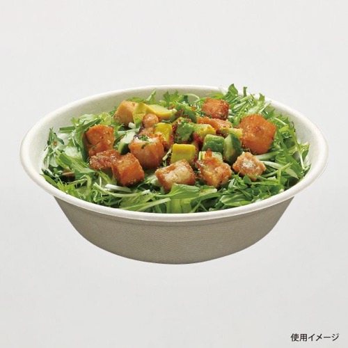 パックスタイル バガス容器 BBどんぶり 205直径×60H | OK-9006059940 | 食品テイクアウト用品ならラクスルへ